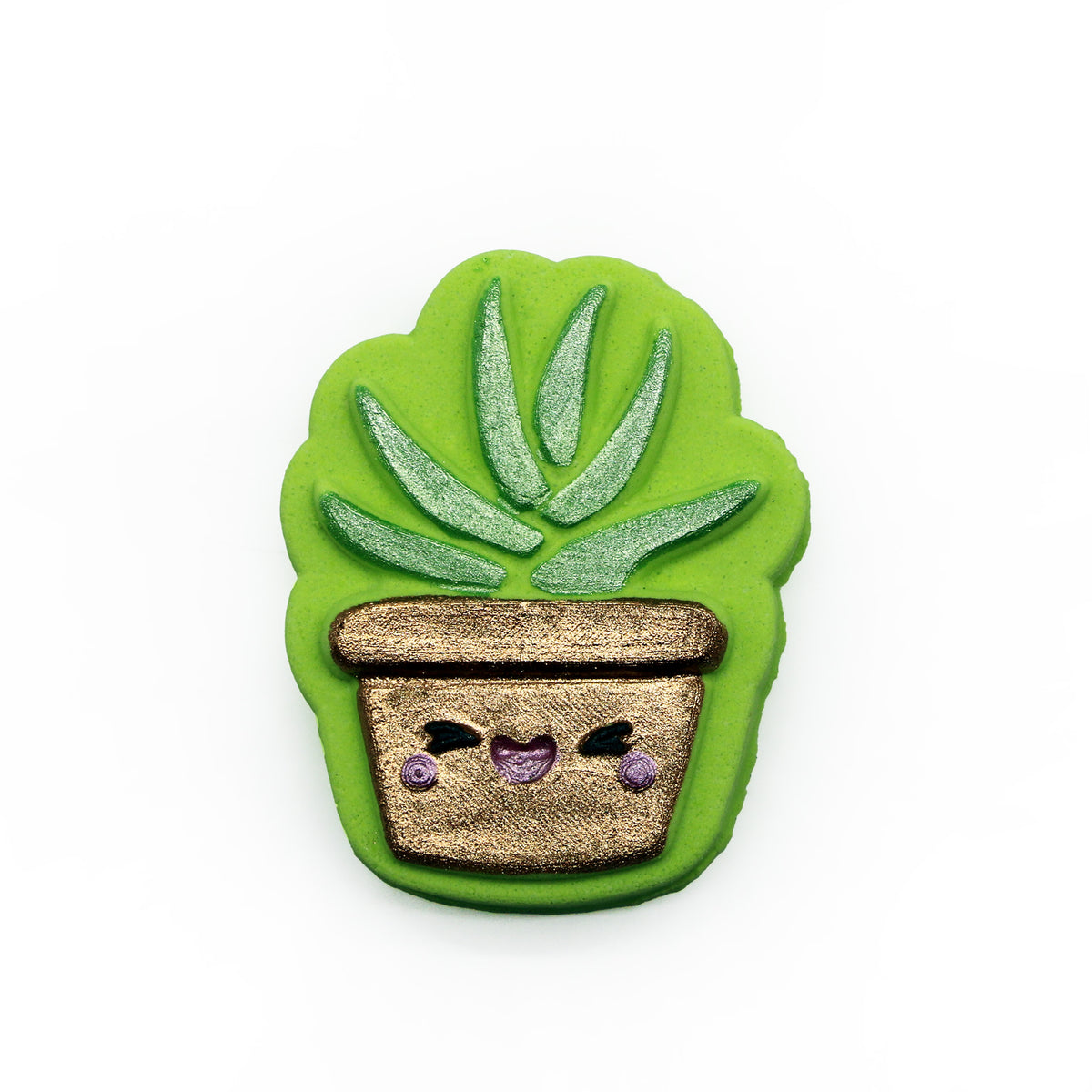 Succulent Plant — The Bomb Bar Canada